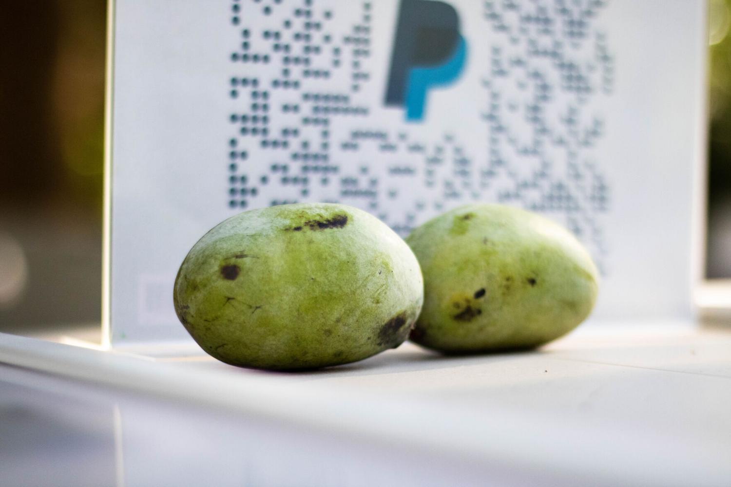 Core Arboretum hosts annual WV Pawpaw Festival | Culture | thedaonline.com