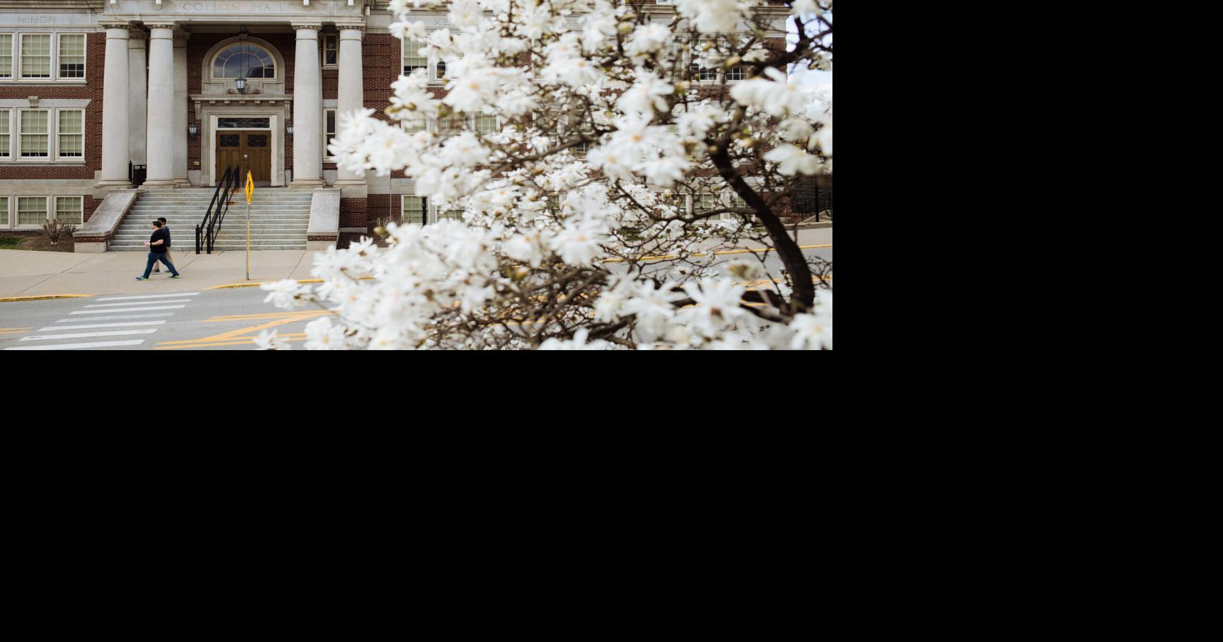 Carruth Center says no spring break hasn't impacted demand of services ...