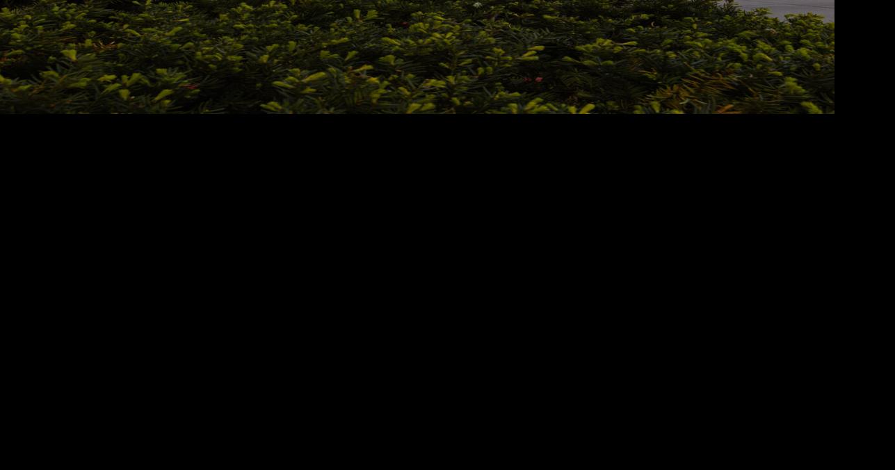 WVU named Innovation and Economic Prosperity University | News ...