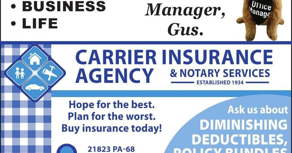 Carrier Insurance Agency | Display Ads | thederrick.com