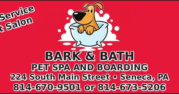 Bark and Bath | Display Ads | thederrick.com
