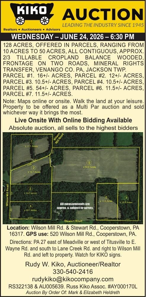 Kiko Auction | Display Ads | thederrick.com