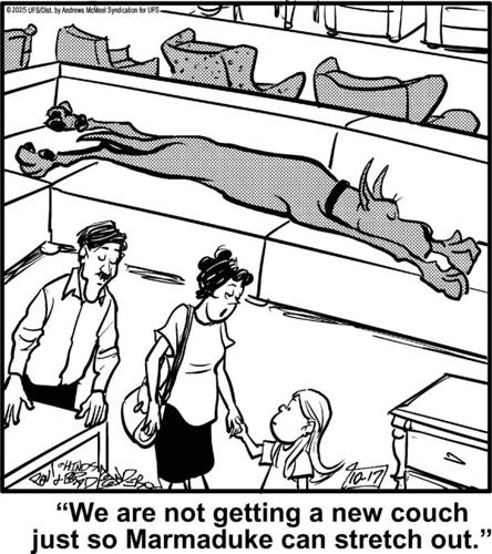 Marmaduke | Entertainment | thederrick.com