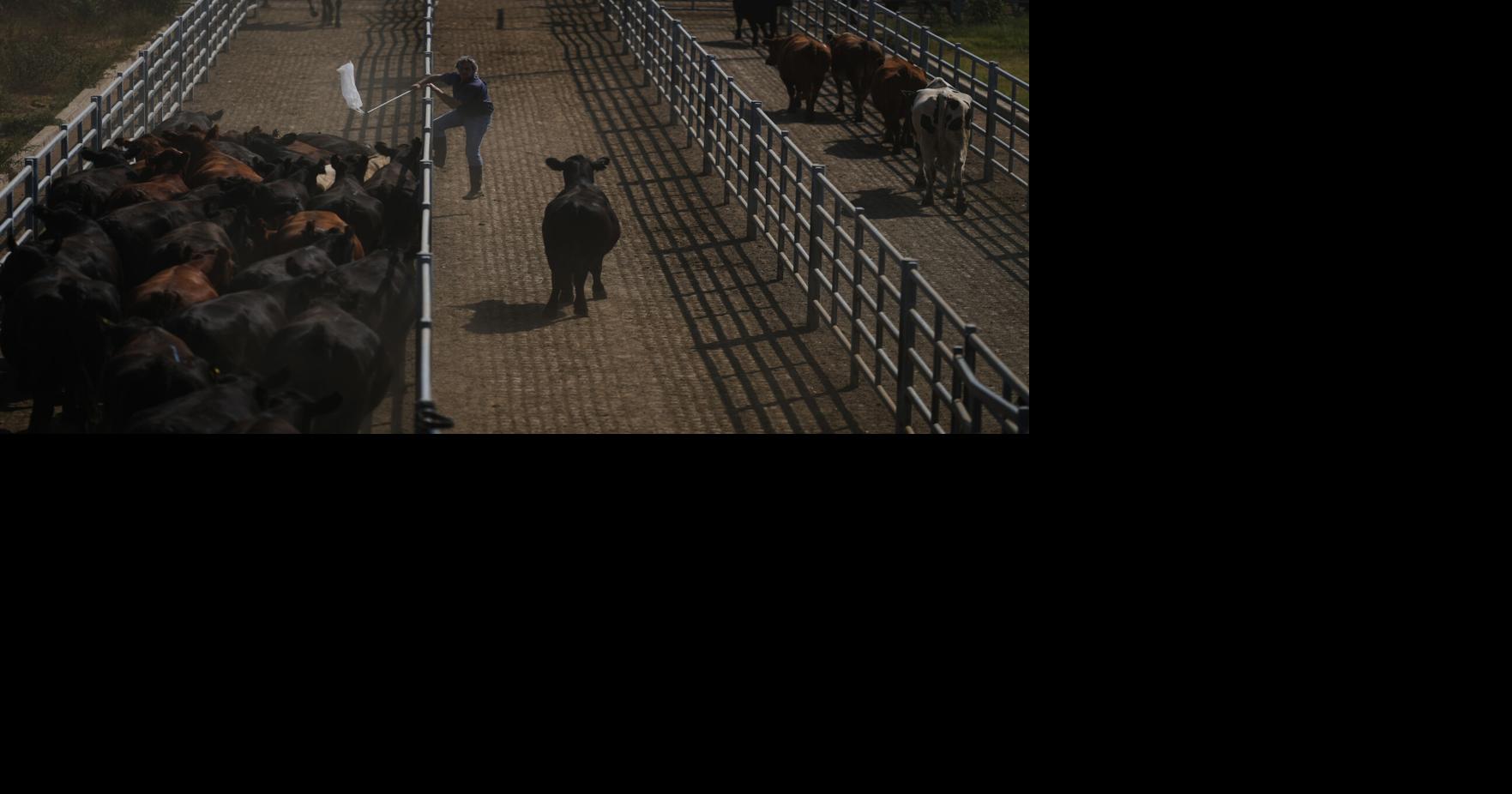 Forget tariff wars: The EU and Mercosur build one of the world's ...