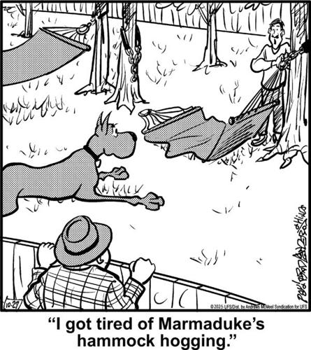 Marmaduke | Entertainment | thederrick.com