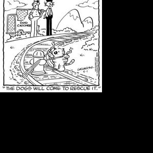 Heathcliff | Archives | thederrick.com