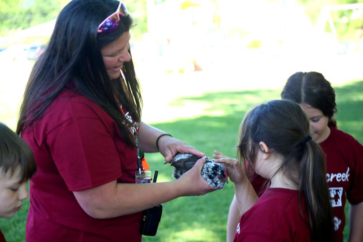 Sandycreek Elementary School Carnival Day marks the end of another ...