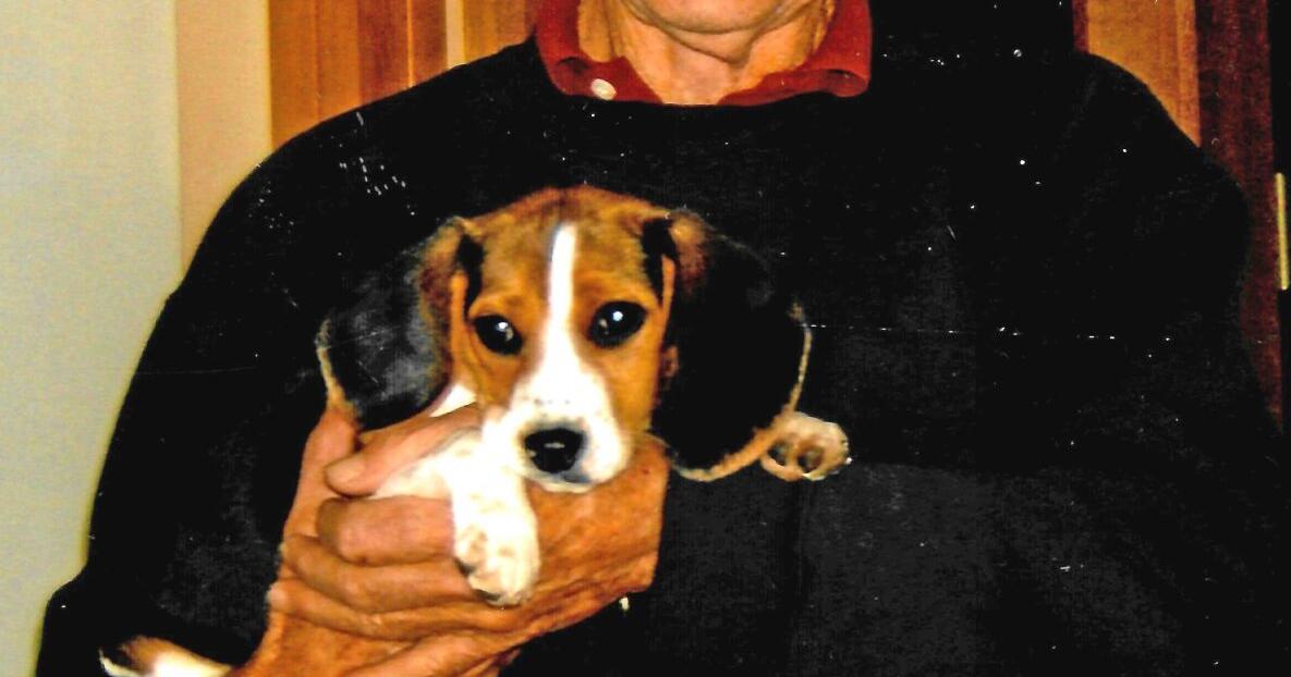 Walter A. Kummer | Obituaries | thederrick.com