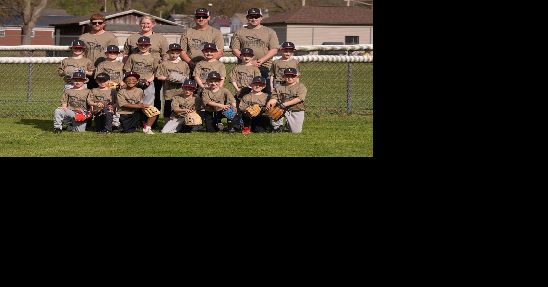 LAKEVIEW McConnell General Contracting Baseball | Features | thederrick.com