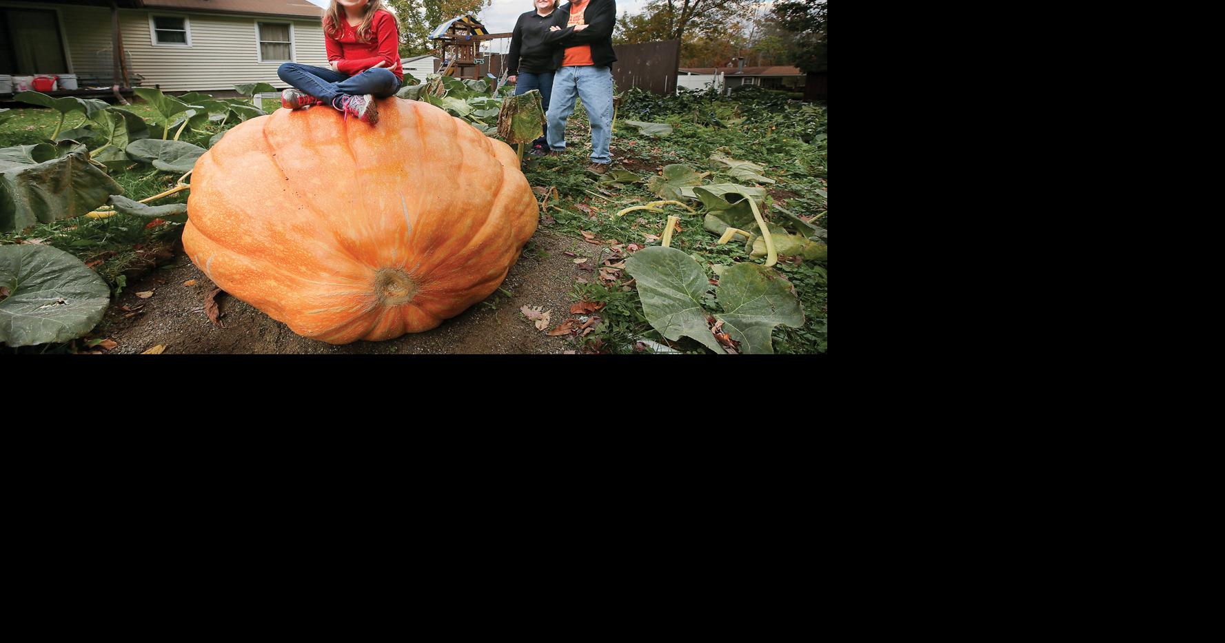 Pumpkin tips the scales in Tippery | Front Page | thederrick.com