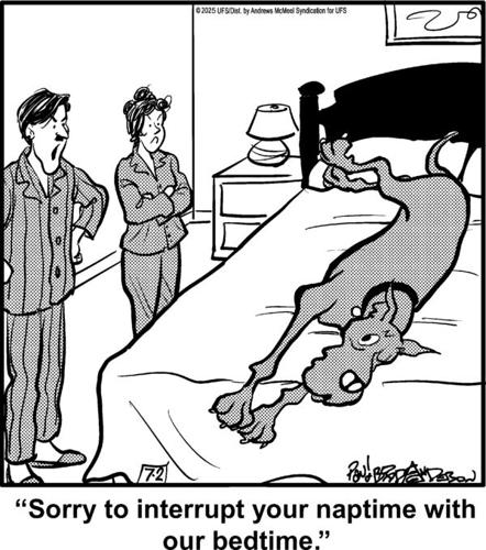 Marmaduke | Entertainment | thederrick.com