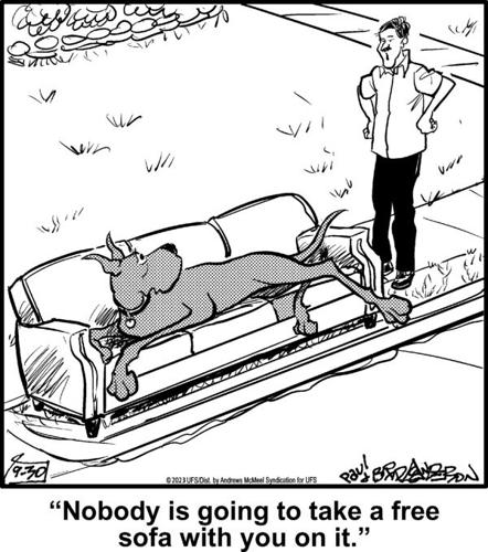 Marmaduke | Entertainment | thederrick.com