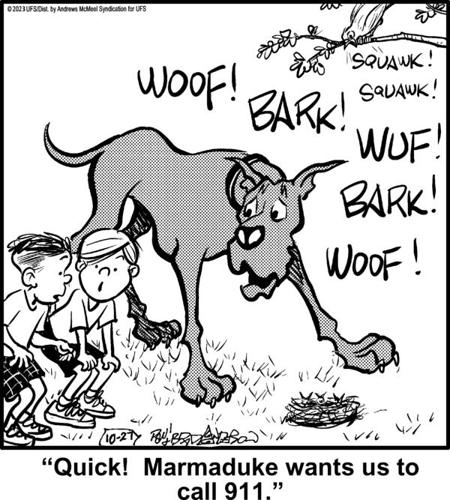 Marmaduke | Entertainment | thederrick.com
