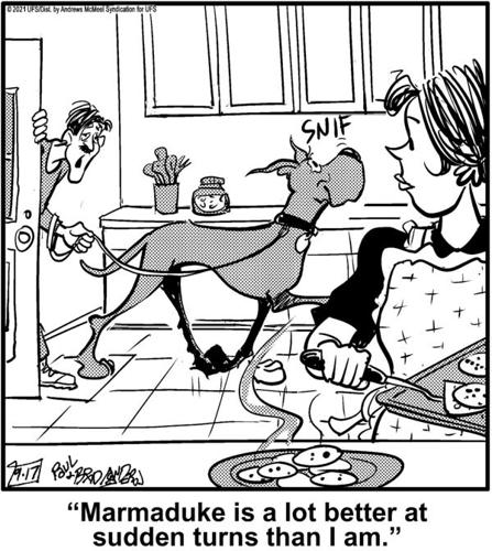 Marmaduke | Entertainment | thederrick.com