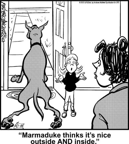 Marmaduke | Entertainment | thederrick.com
