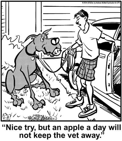 Marmaduke | Entertainment | thederrick.com