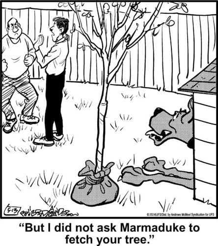 Marmaduke | Entertainment | thederrick.com