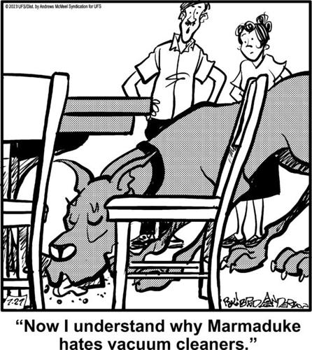 Marmaduke | Entertainment | thederrick.com
