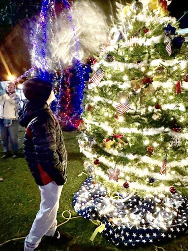 Clarion Borough lights 41 trees | Community News | thederrick.com