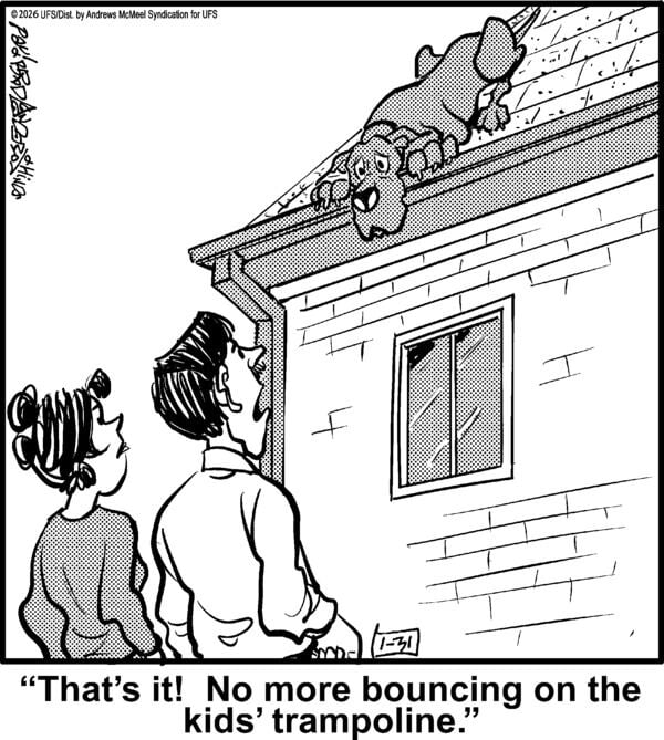 Marmaduke | Entertainment | thederrick.com