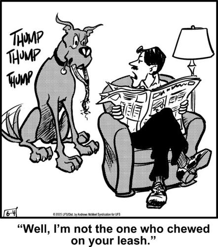 Marmaduke | Entertainment | thederrick.com