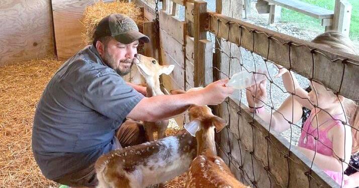 BUSINESS REVIEW: A visit to Double Diamond is an experience to en-deer ...
