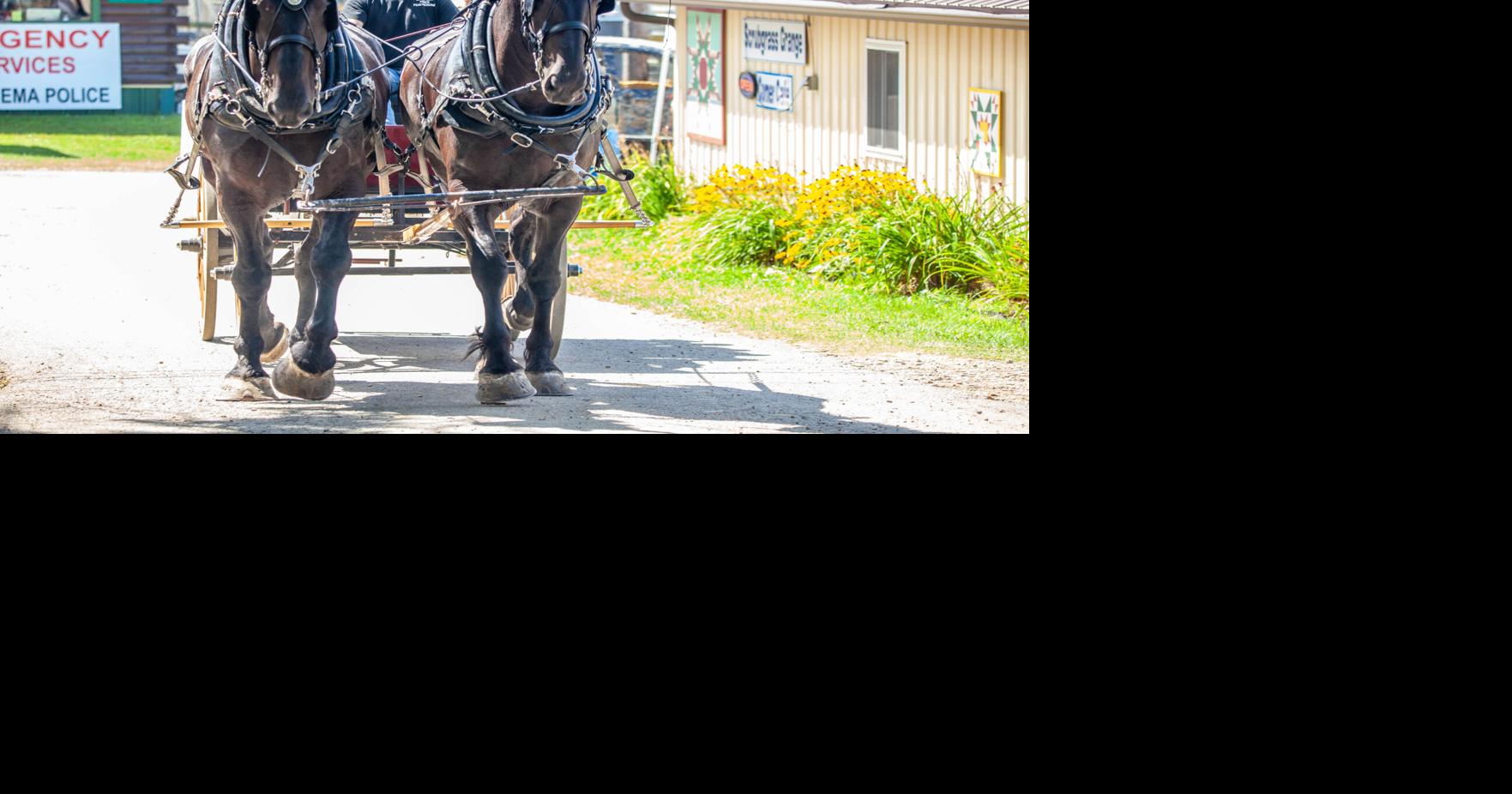Venango County Fair enjoys sunny weekend to close things out | Front ...
