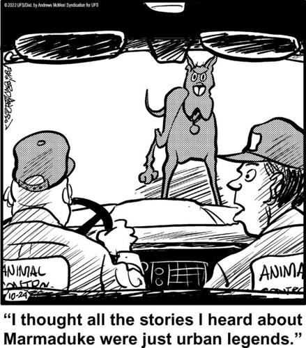 Marmaduke | Entertainment | thederrick.com