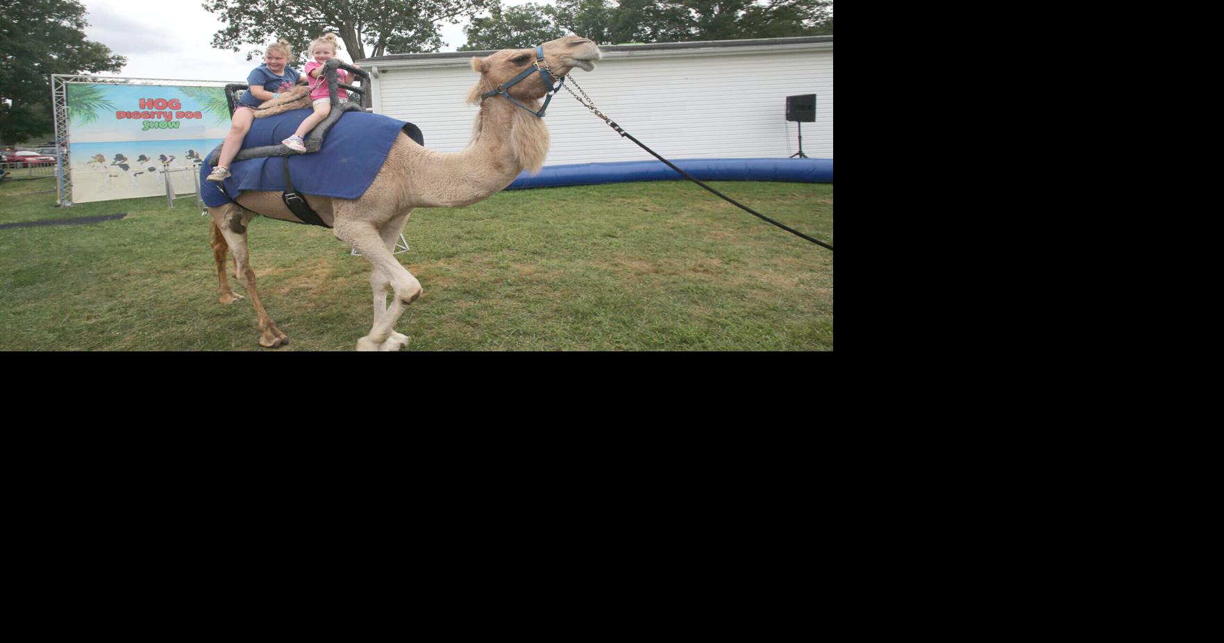 Great Stoneboro Fair 2022 | Multimedia | thederrick.com