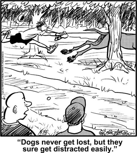 Marmaduke | Entertainment | thederrick.com