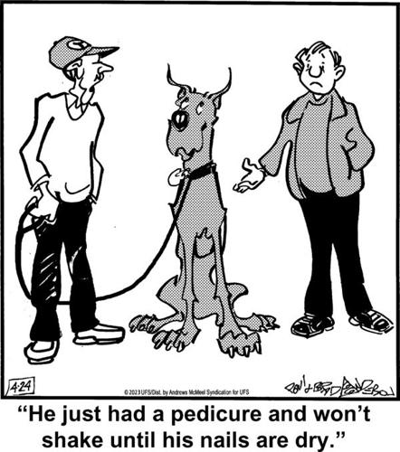 Marmaduke | Entertainment | thederrick.com