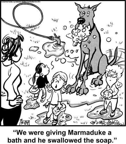 Marmaduke | Entertainment | thederrick.com