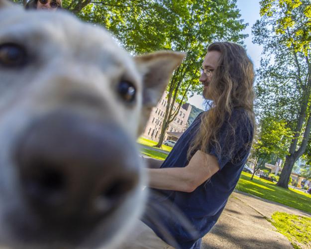 LibertyFest Annual Pet Show returns to Bandstand Park | Front Page ...