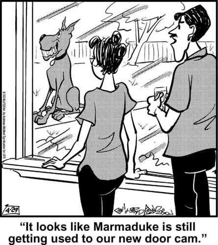 Marmaduke | Entertainment | thederrick.com
