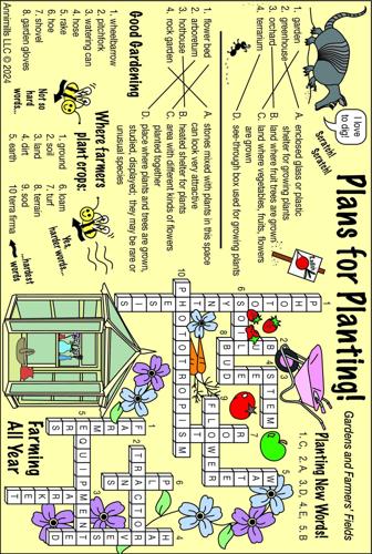 Fun Page Solutions | Entertainment | thederrick.com