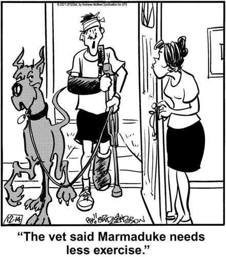 Marmaduke | Entertainment | thederrick.com