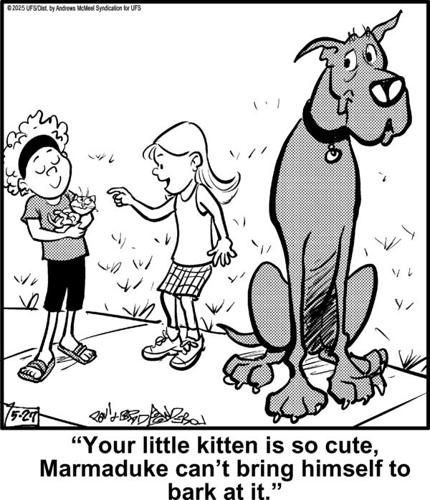 Marmaduke | Entertainment | thederrick.com