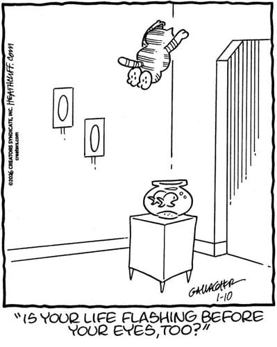 Heathcliff | Entertainment | thederrick.com