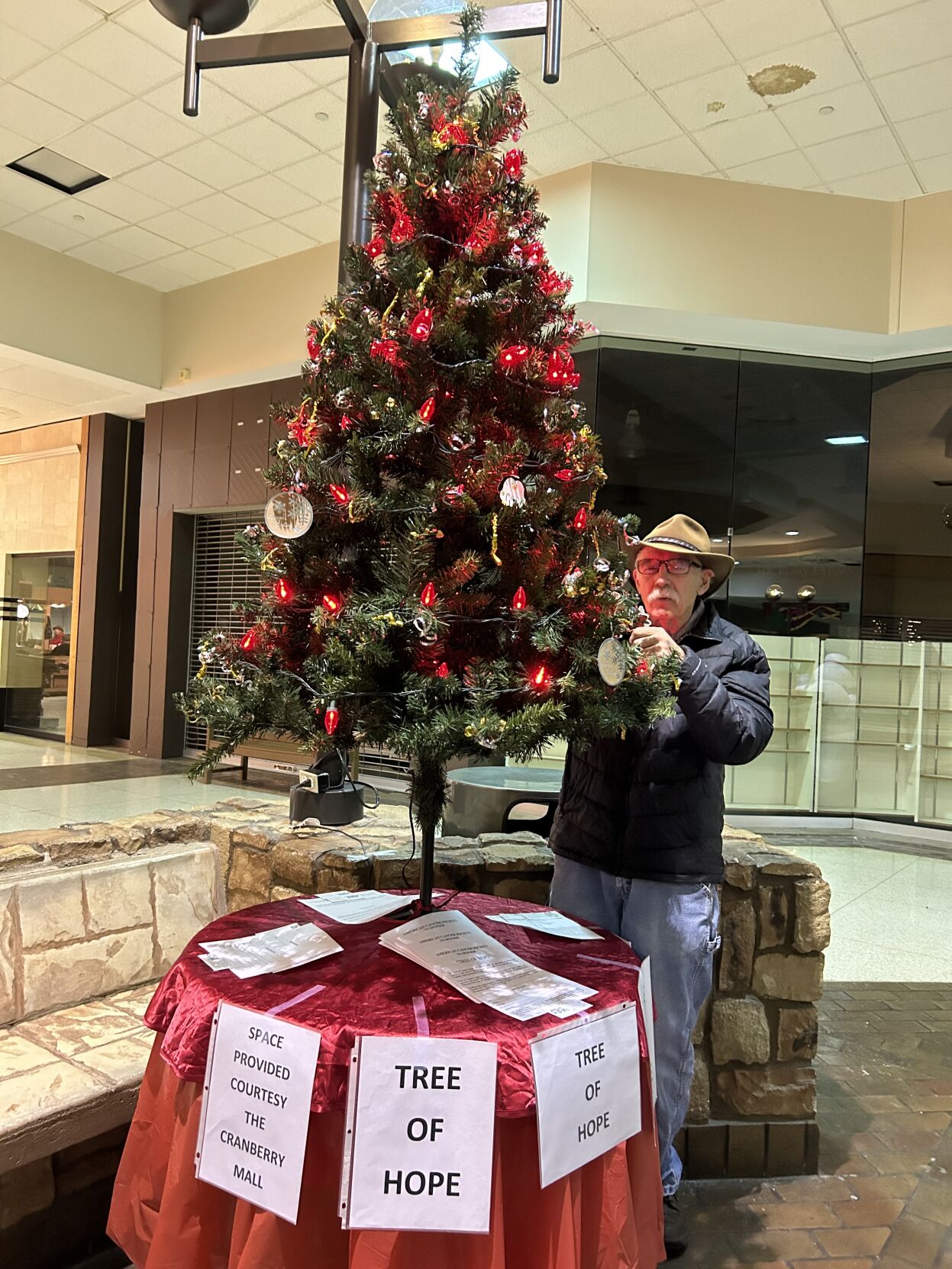 Cancer Society Tree of Hope is up at mall | Community News | thederrick.com
