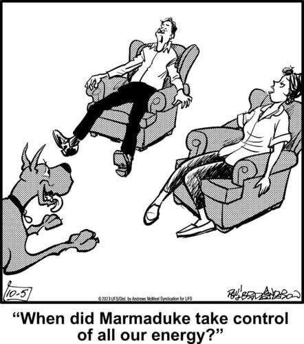 Marmaduke | Entertainment | thederrick.com