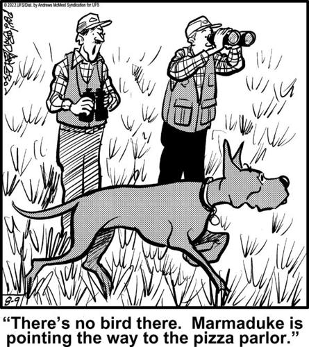 Marmaduke | Entertainment | thederrick.com
