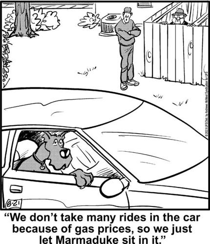 Marmaduke | Entertainment | thederrick.com