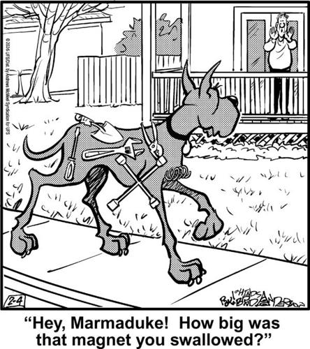 Marmaduke | Entertainment | thederrick.com