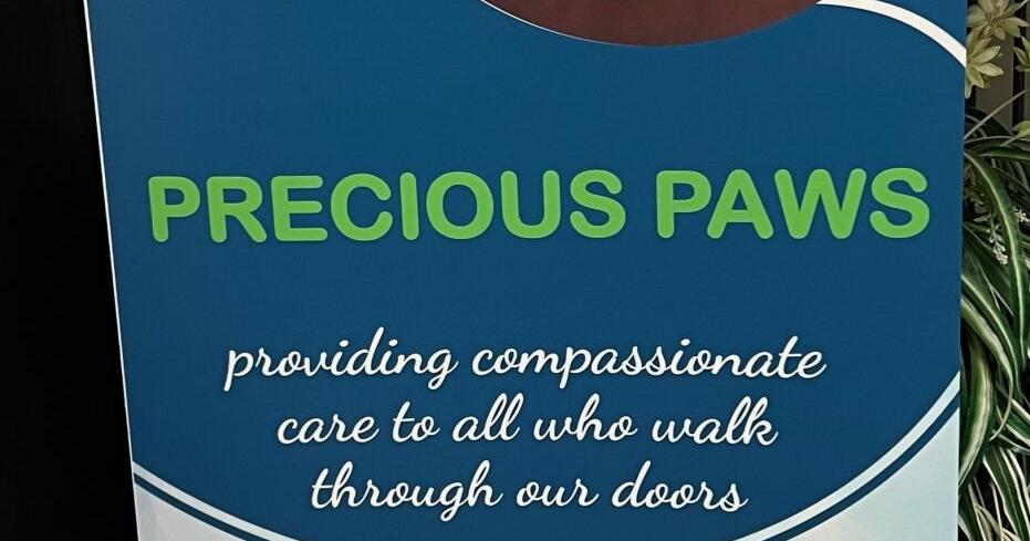 Business Review: Precious Paws reaches milestones in 2023 | Features ...