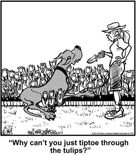 Marmaduke | Entertainment | thederrick.com