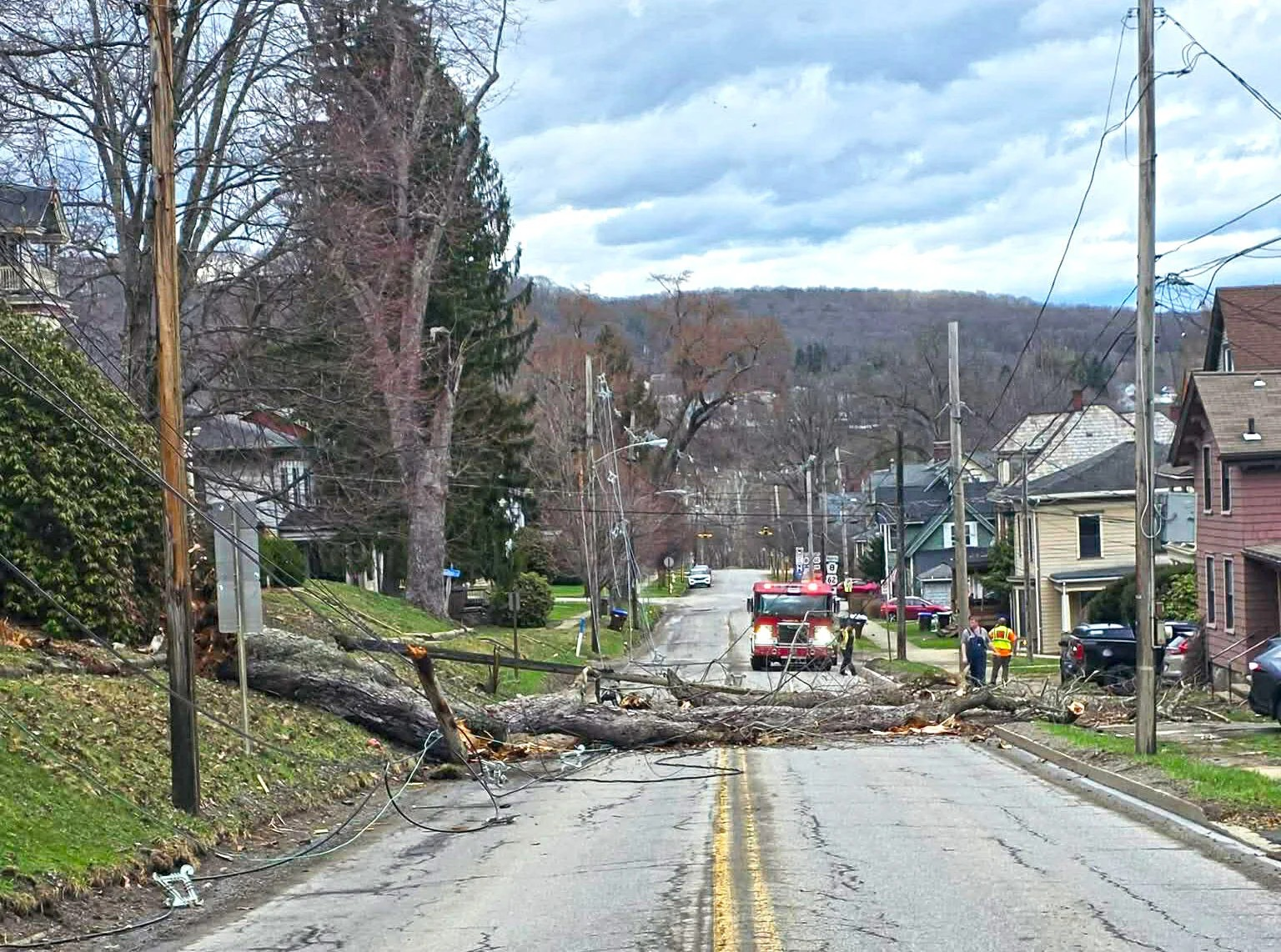 Fallen tree blocks 15th Street in Franklin | Community News ...