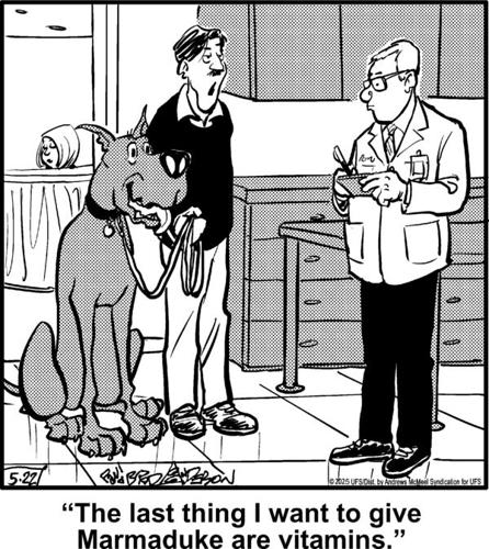 Marmaduke | Entertainment | thederrick.com