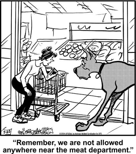 Marmaduke | Entertainment | thederrick.com
