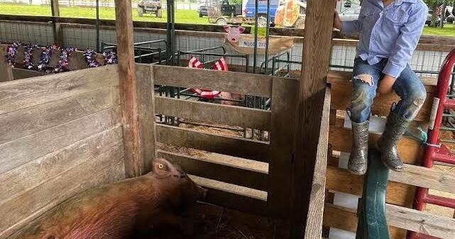 Wolf's Corners Fair manages to weather the storm | Front Page ...