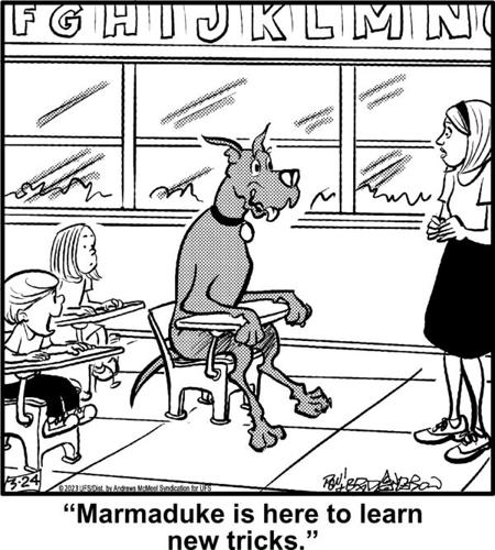 Marmaduke | Entertainment | thederrick.com
